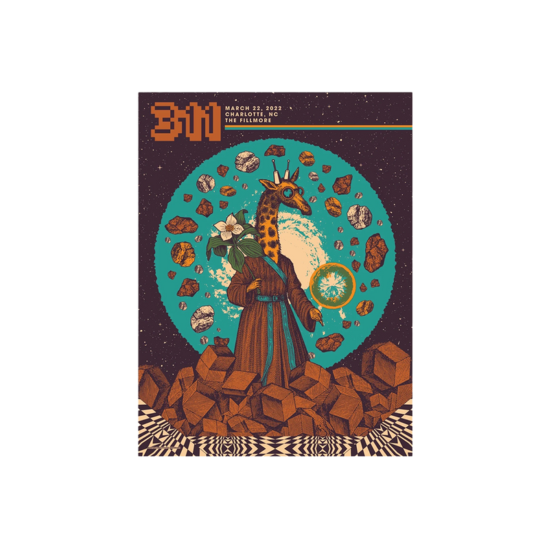 Posters - Page 3 - 311 Official Store