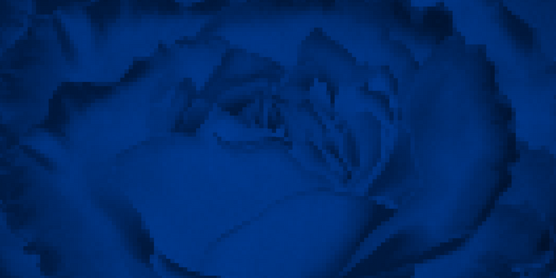 311 Official Store - 311 Official Store